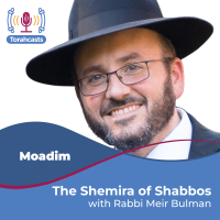 The Shemira of Shabbos - Torahcasts